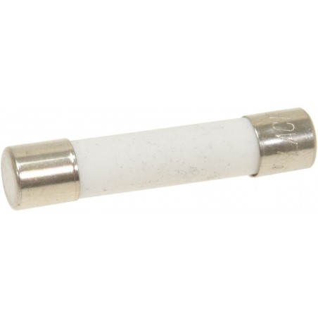 FUSIBILE RAPIDO Ø 6,3X32 MM - 10 PZ Cod. 3049026